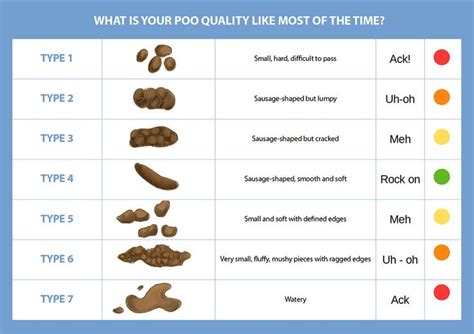 Bristol Stool Chart Understanding Normal And Abnormal Stool Types