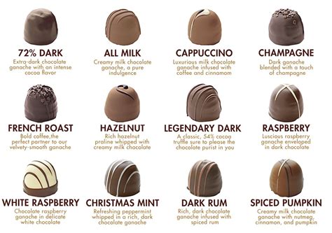 Delicious Artisan Chocolate Candy Recipes Chocolate Truffle Flavors
