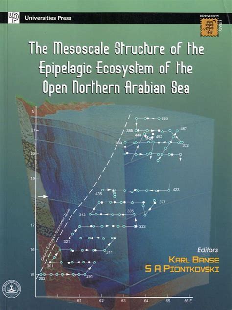 The Mesoscale Structure Of The Epipelagic Ecosystem Of The Open