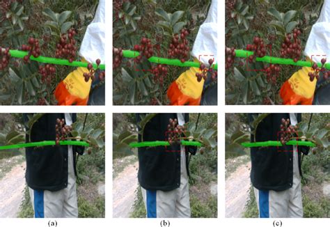 Visualization Results Of Stem Segmentation A Ground Truth B