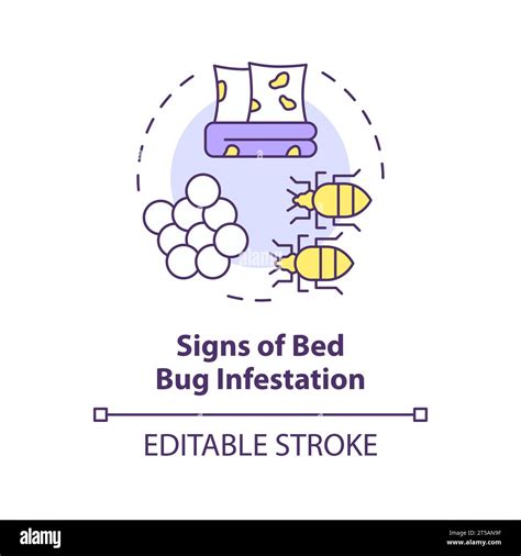 2d Thin Line Icon Signs Of Bed Bug Infestation Concept Stock Vector
