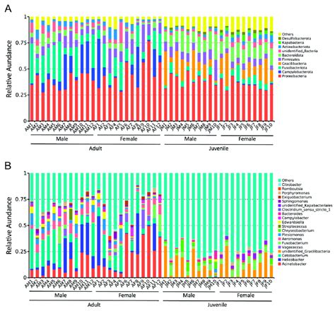 Relative Abundance Of The Top 10 Most Abundant Bacterial Phyla A And Download Scientific