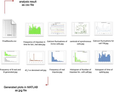 Example Of The Output Folder Contents At Analysis Completion Download Scientific Diagram