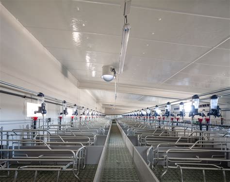 Panel Falso Techo Para Granjas Build Panel Solutions