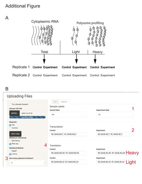 Pdf Rivet Comprehensive Graphic User Interface For Analysis And