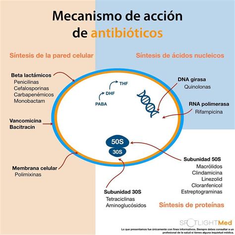 Mecanismo De Acción De Antibióticos 💥 Spotlightmed Spotlight