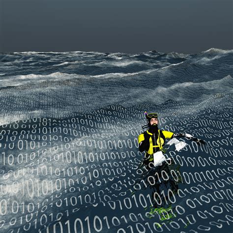 Purifying The Hadoop Data Lake And Preventing A Data Swamp
