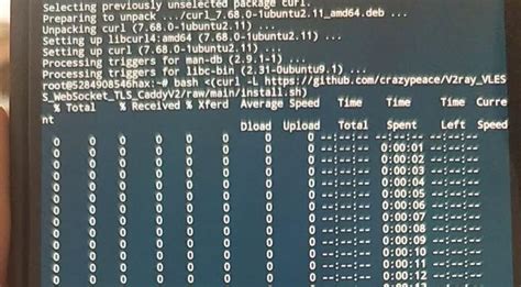hax ipv6 vps 搭 v2ray 梯子 vless websocket tls 模式 warp开ipv4 网口 免费 白嫖 全程手机操作