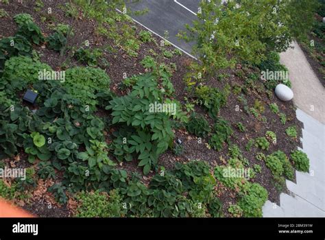 Modern Healthcare Maggies Centre Charing Cross Hospital Fulham