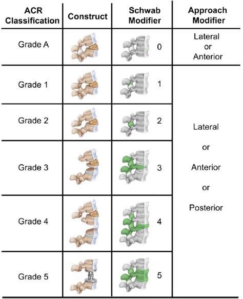Anterior Column Realignment Neurosurgery Clinics Anterior Column Realignment Neurosurgery Clinics