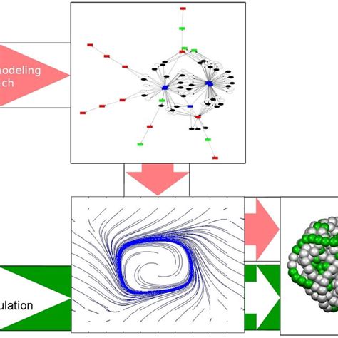 A Two Dimensional Vector Field Can Be Interpreted As System Phase