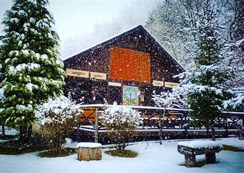 Afara Ninge Linistit In Fratii Jderi Utopia Verde