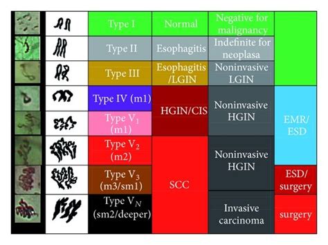 Inoues Classification Of Intraepithelial Papillary Capillary Loops For