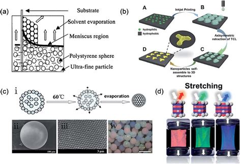 A Schematic Of The Simple Method Of Co Assembly By Using The General