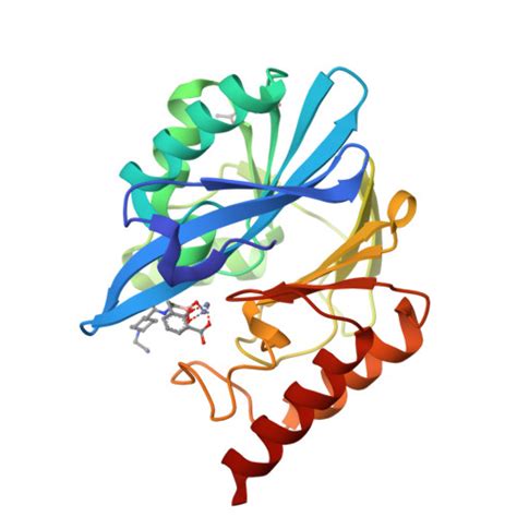 Rcsb Pdb 6sp7 Crystal Structure Of The Vim 2 Acquired Metallo Beta