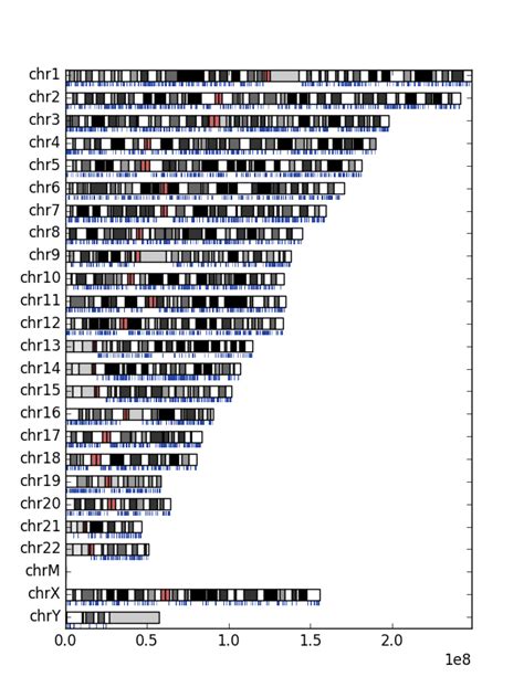 Plot Chromosome Ideograms Along With Other Genomic Data · Github