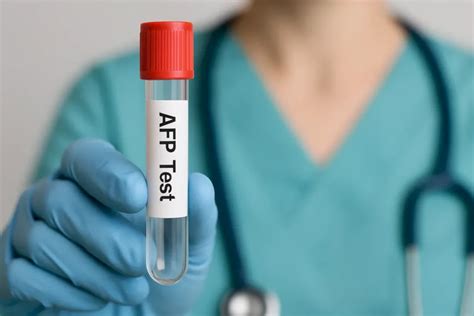 Afp Test Pregnancy Understanding The Results