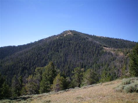 Pass Benchmark By Livingston Douglas Idaho A Climbing Guide