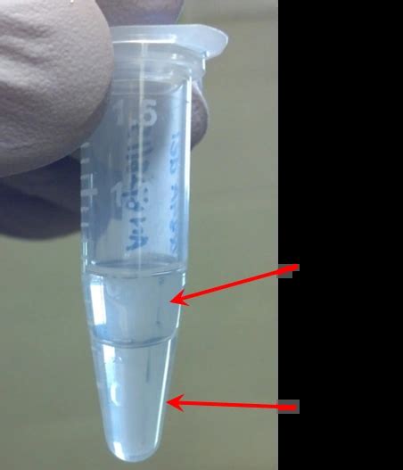 Image Aqueous Layerpng Forney Lab Wiki Fandom Powered By Wikia