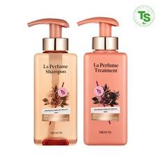 ts샴푸 가격 확인 필독 추천 TS 뉴프리미엄 TS 샴푸 500g x 2p + 100g x 2p + TS 골프샴푸 6g x 5p ...