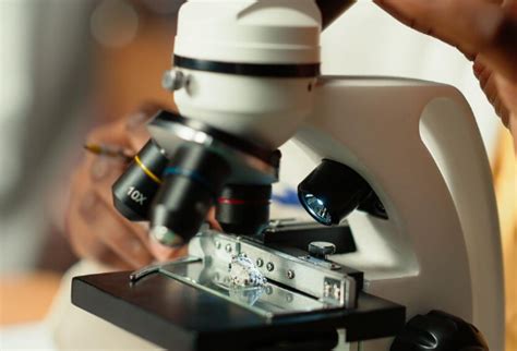 How Does Live Cell Microscopy Training Enhance Analysis Skills