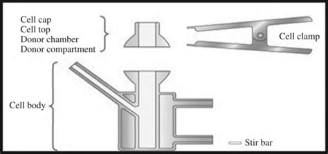 10 Schematic Illustration Of Various Parts Of Franz Diffusion Cell Download Scientific Diagram