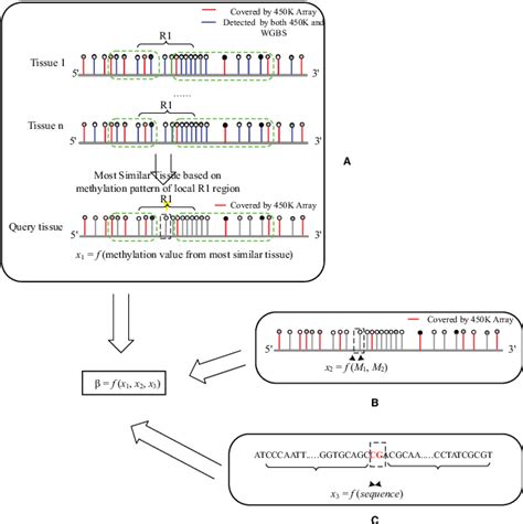 Figure 1 From Computationally Expanding Infinium Humanmethylation450 Beadchip Array Data To
