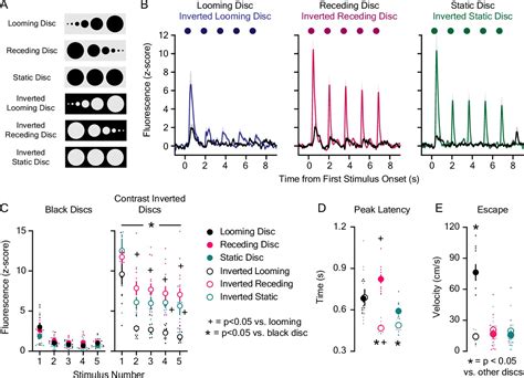 Figures And Data In Ventral Striatum Dopamine Release Encodes Unique Properties Of Visual