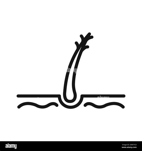 Hair Split Ends Icon Black Line Art Vector In Black And White Outline