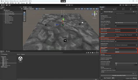 【unity笔记】七、mirror插件使用unity Mirror Csdn博客