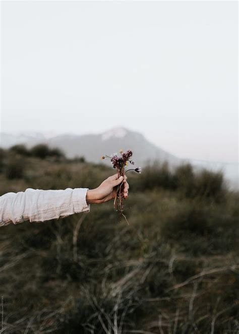 Hand Holding Flowers By Stocksy Contributor Caleb Gaskins Hands