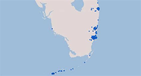 Asian Subterranean Termites In Tampa Ehrlich Pest Control