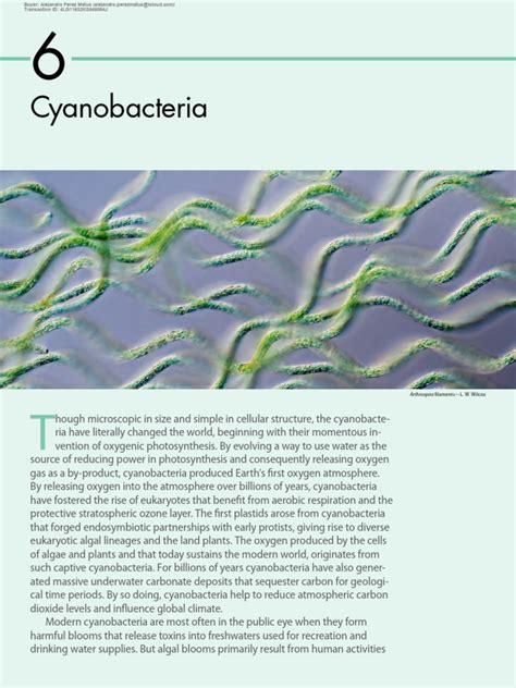 Algae Graham Cianobacteria Pdf Cyanobacteria Photosynthesis