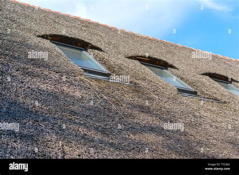 Reed Roof Of An House In An Ancient Village Traditional Thatched Roof From Reed Sunny Day