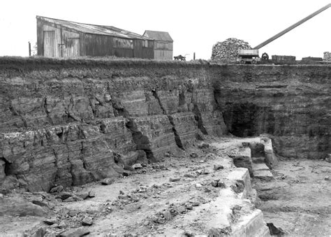 Doulting Quarries Buddlepit Mine Database