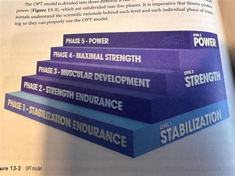 Master The Nasm Opt Model In 2025 Your Ultimate Guide