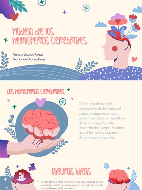 Modelo De Los Hemisferios Cerebrales Pdf Hemisferio Cerebral