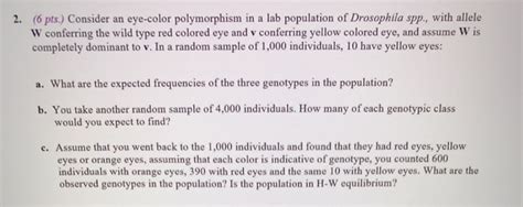solved 2 6 pts consider an eye color polymorphism in a