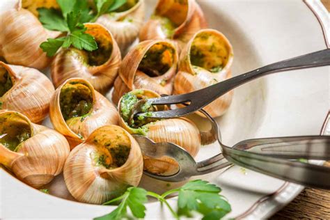 Can You Eat Escargot Snails During Pregnancy Safety And Benefits