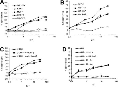 Antigen Specific Lysis Of Human Tumor Cell Lines Endogenously