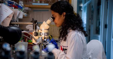 Scientifica On Linkedin Autism Spectrum Disorders Linked To Neurotransmitter Switching In The Brain