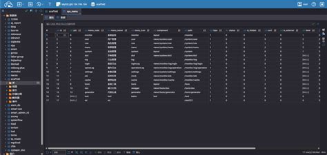 java 再见 navicat！一款开源的 web 数据库管理工具！ 个人文章 segmentfault 思否