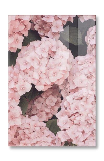 Hydrangea Canvas Wall Art By Sisi And Seb Icanvas