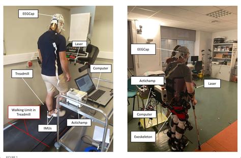figure 1 from brain machine interface based on transfer learning for