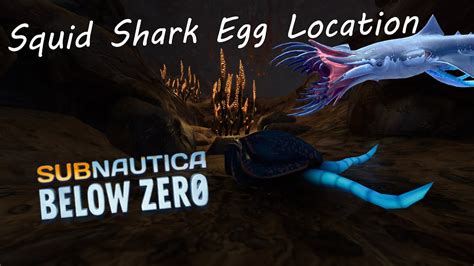 Squid Shark Egg Location Subnautica Below Zero Youtube