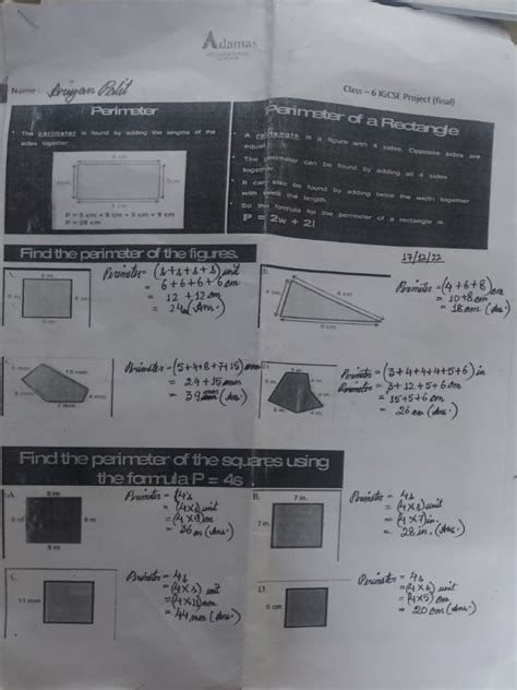 Class 6 Igcse Ariyan Palit Term Ii Project Pdf Area Quantity