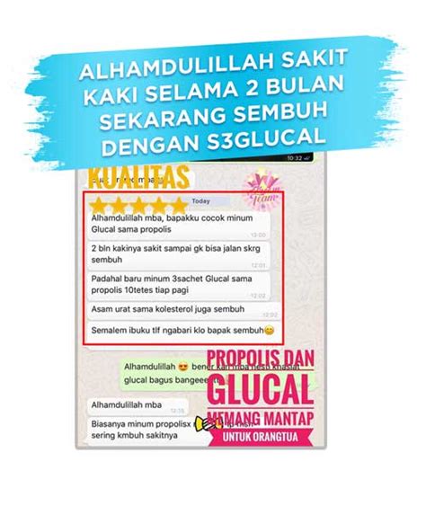 Detail Glucal Website Resmi S3 Glucal