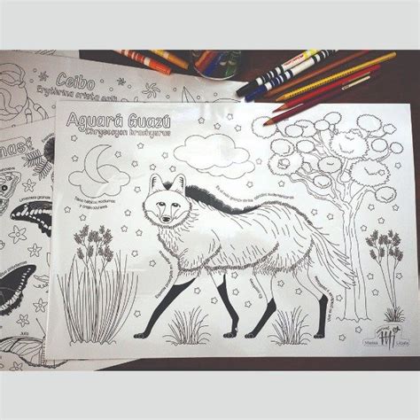 Láminas Para Pintar Marisali