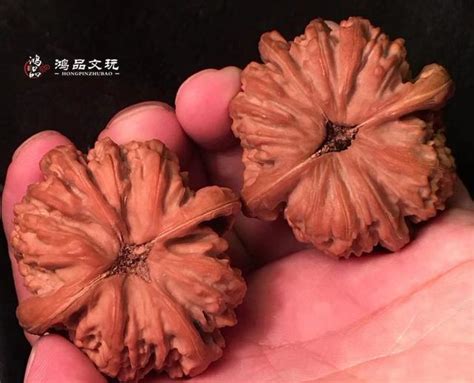 天然异型文玩核桃，收藏级白狮子四棱 搜狐大视野 搜狐新闻