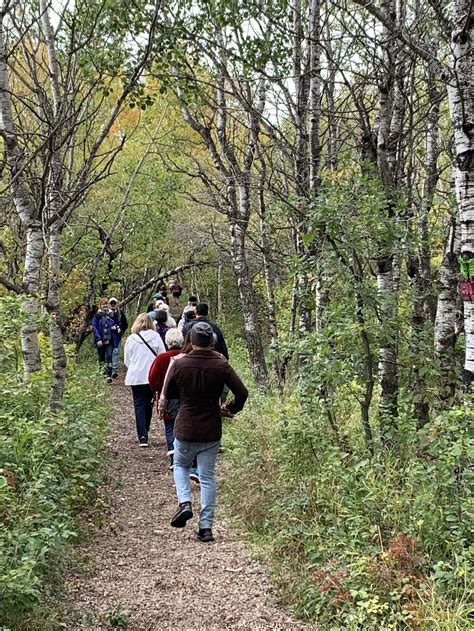 5 Reasons Why Assiniboine Forest Should Become A National Urban Park Cpaws Manitoba